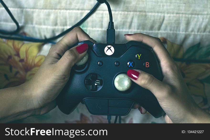 Microsoft free stock photos - StockFreeImages