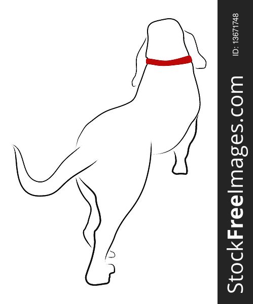 1+ Walking basset hound rear view Free Stock Photos - StockFreeImages