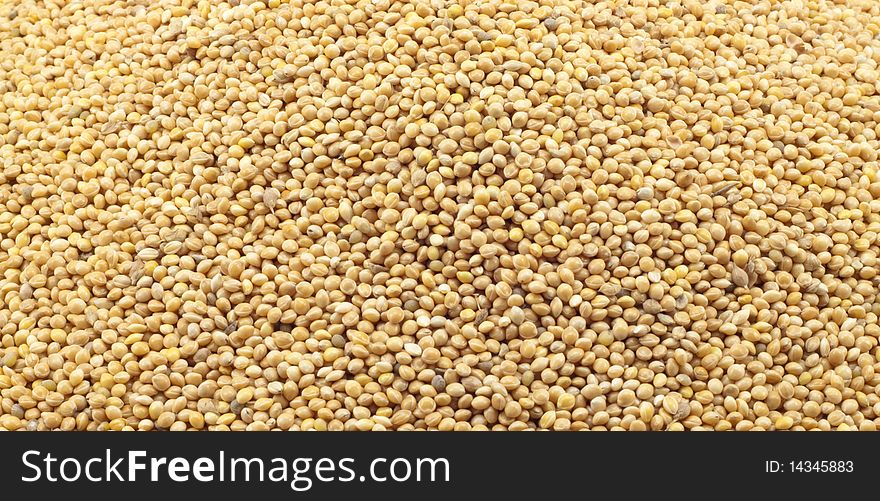 34+ Texture millet Free Stock Photos - StockFreeImages