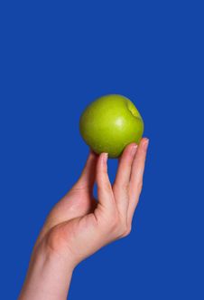 5,100+ Wisdom Free Stock Photos - StockFreeImages