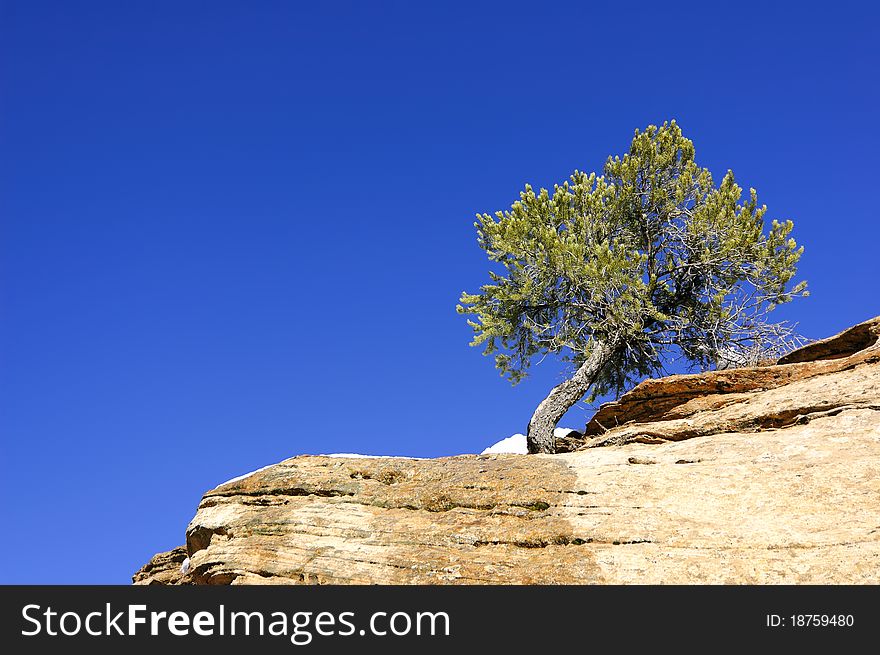 9+ Winter overlook tree Free Stock Photos - StockFreeImages