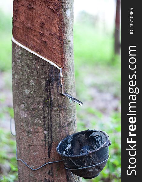 17+ Rubber products Free Stock Photos - StockFreeImages