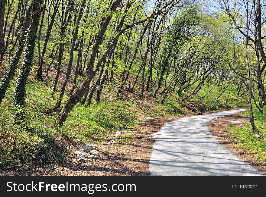 6+ Treacherous path Free Stock Photos - StockFreeImages