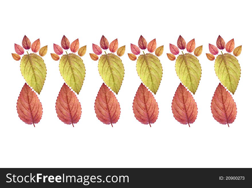 63+ Leaf footprint Free Stock Photos - StockFreeImages