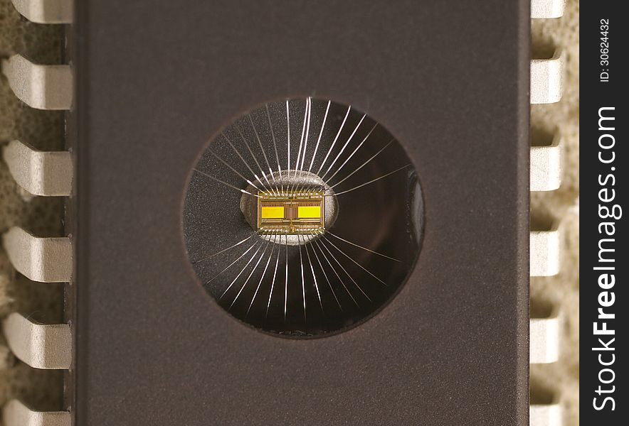 530+ Chip yellow Free Stock Photos - StockFreeImages