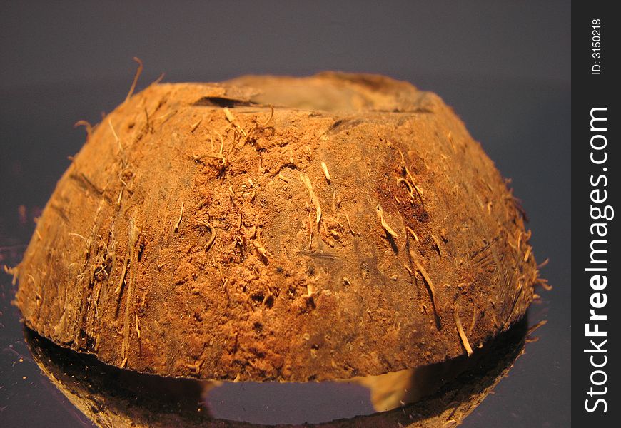 35+ Hairy coco shell Free Stock Photos - StockFreeImages