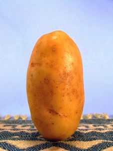 12+ Standing potato Free Stock Photos - StockFreeImages