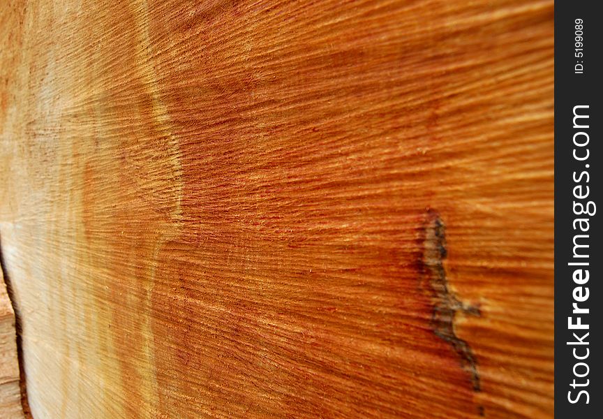 48+ Tree cut lines Free Stock Photos - StockFreeImages