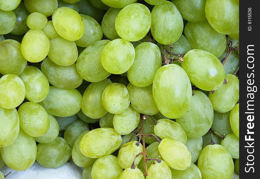 2+ Greaps Free Stock Photos - StockFreeImages