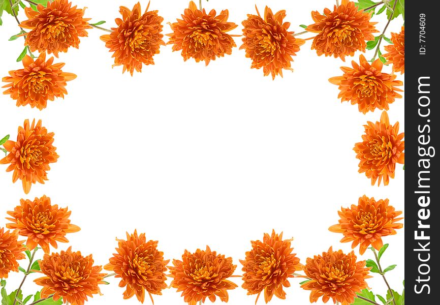 7+ Aster border Free Stock Photos - StockFreeImages